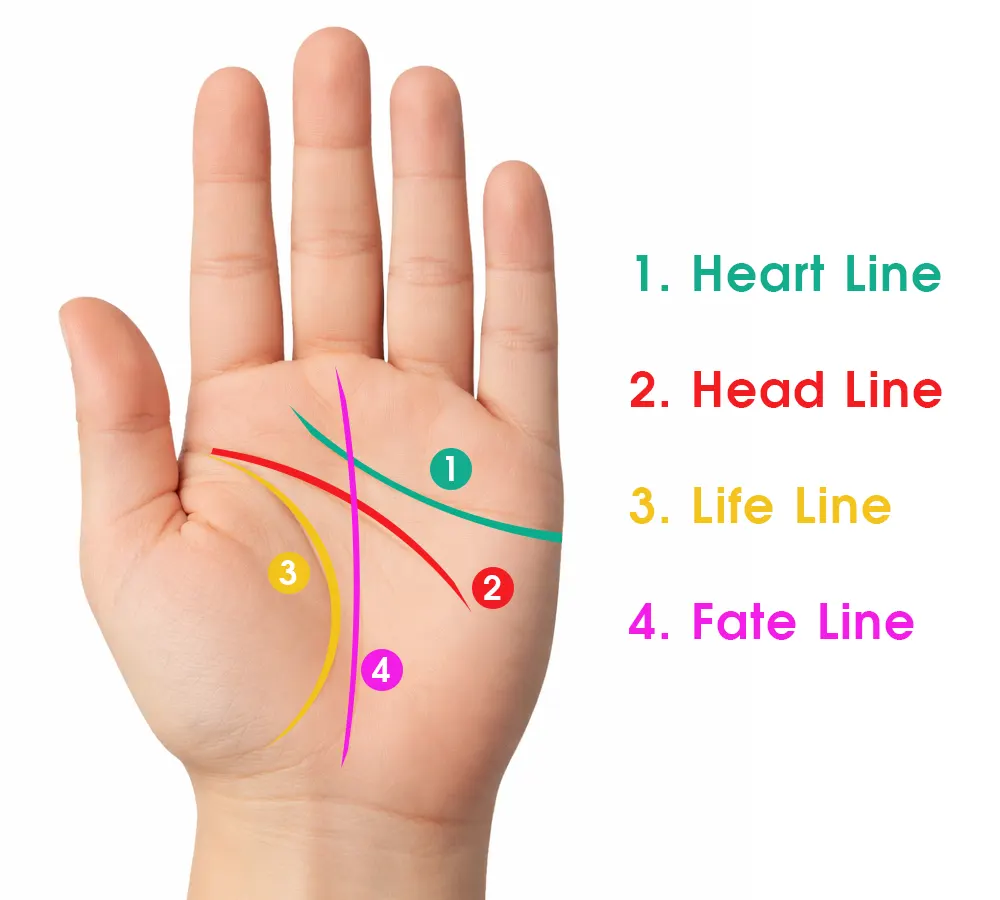 Head Line in Palmistry: Long vs Short – Intelligence or Practicality?