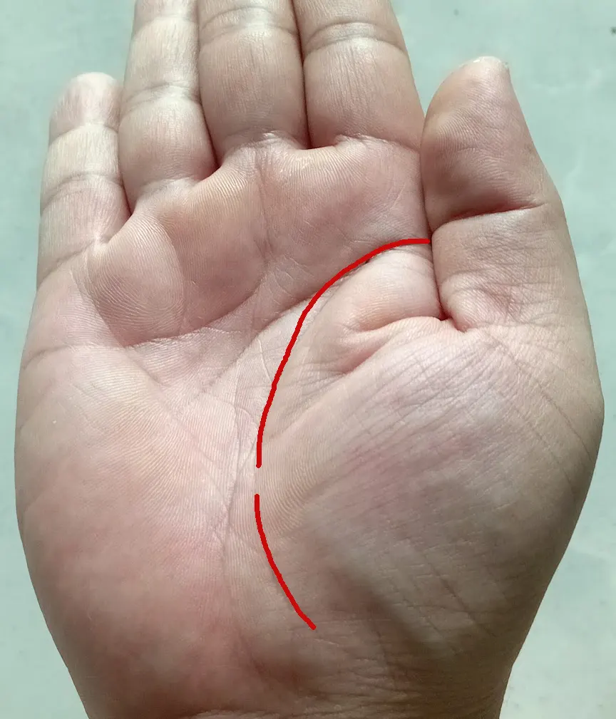 Broken Life Line Meaning: Challenges & Growth in Palmistry