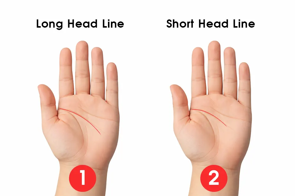 Head Line in Palmistry: Long vs Short – Intelligence or Practicality?