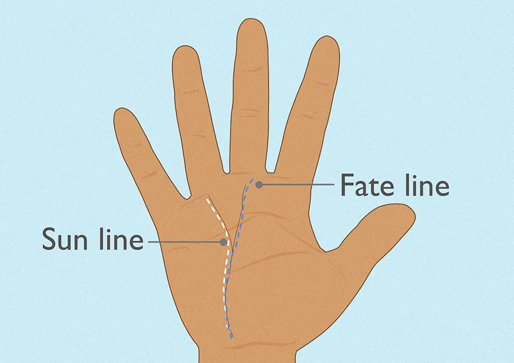 Sun Line in Palmistry: Partial Talent Guide